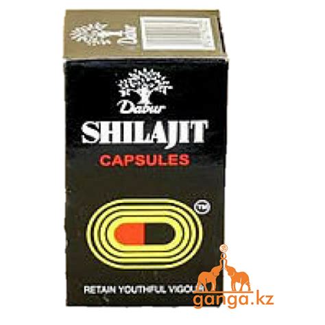 Мумие Шиладжит (Shilajit DABUR), 30 кап.: продажа, цена в Караганде ...