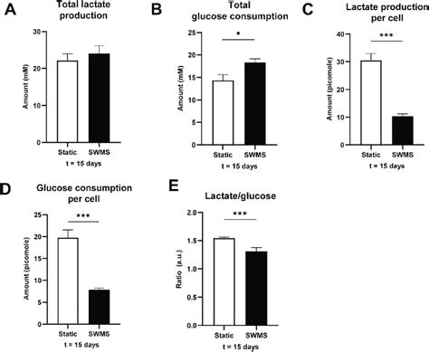 Lactate Production And Glucose Consumption By Ht29 Mtx E12 Grown Under