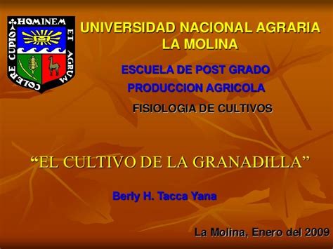 El Cultivo De La Granadilla Jose