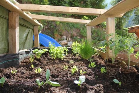 14 Key Rules For Successful Backyard Farminggardening A Beginners