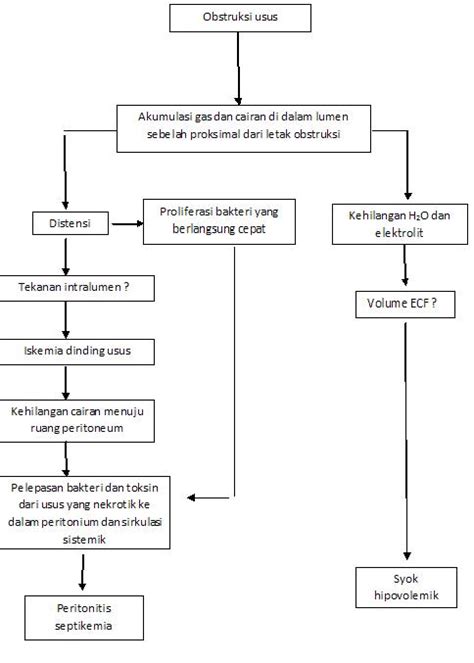 Pathway Ileus Obstruktif 15pdf