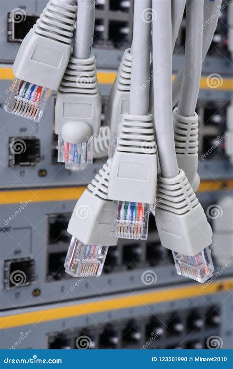 Network Patch Cord Cable RJ45 Connectors Stock Photo Image Of Equipment Network 123501990