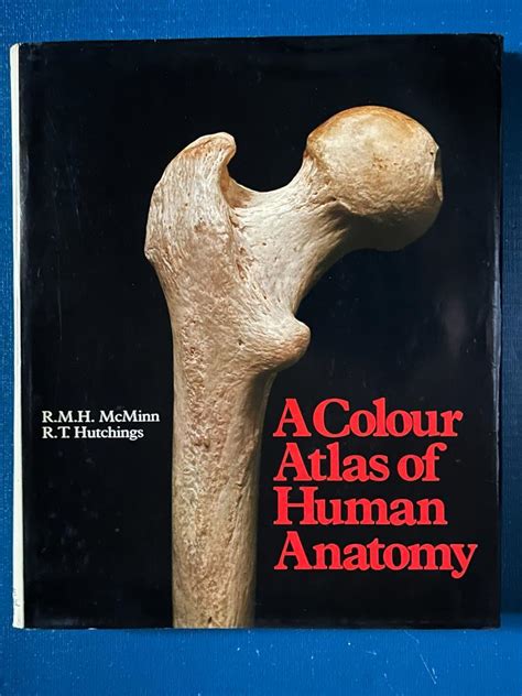匿名配送 ハードカバー 「人体解剖カラーアトラス」 「別冊 翻訳抄本」佐藤 達夫 By メルカリ