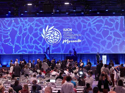 Iucn Governance Iucn