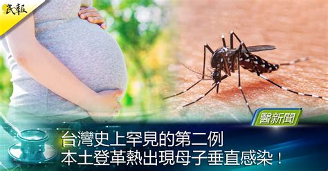 民報 Taiwan People News 台灣史上罕見的第二例 本土登革熱出現母子垂直感染！