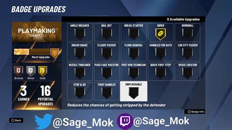 Best Playmaking Badges In 2k20 Youtube
