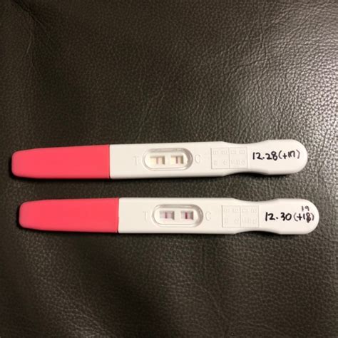 임신테스트기 사용시기정확도 임테기 배란 20일차 이후 진해진 두줄 네이버 블로그