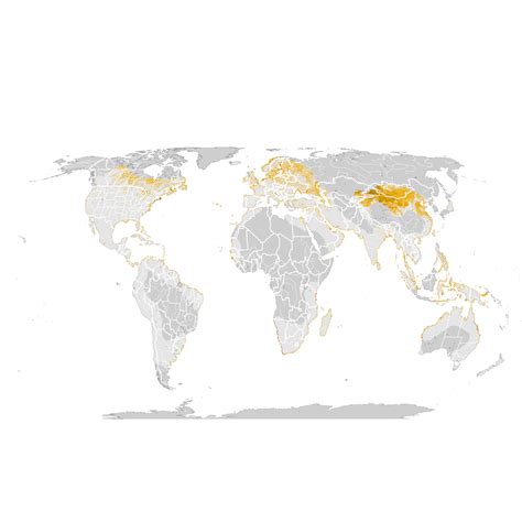Common Tern Abundance Map Post Breeding Migration Ebird Status And