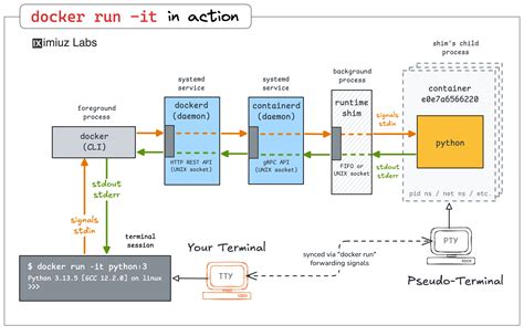 Docker 101 Run A Tty Controlled Container And Explore The Effect Of The T Flag Challenge