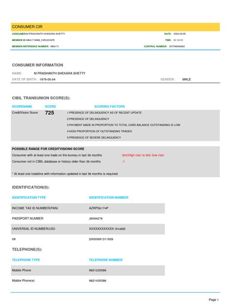 Sample Cibil Report Individual Download Free Pdf Credit Finance