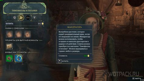 Все магазины в Hogwarts Legacy где найти торговцев карта