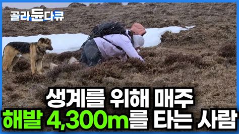 웬만한 산악인도 숨 쉬기 힘든 히말라야를 매주 올라가는 사람들┃네팔 히말라야┃세계테마기행┃골라듄다큐 Youtube