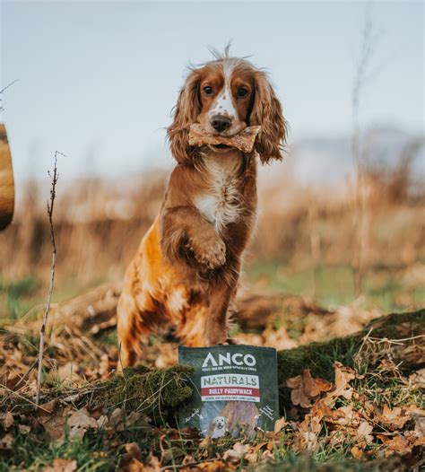 Anco Naturals Bully Paddywack 250g