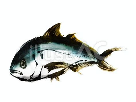鯵イラスト No 22883105／無料イラストフリー素材なら「イラストac」