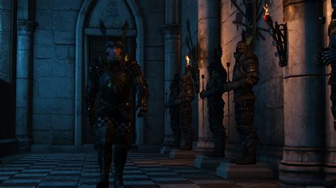 Nilfgaardian Guardsman Armor Set R Witcher