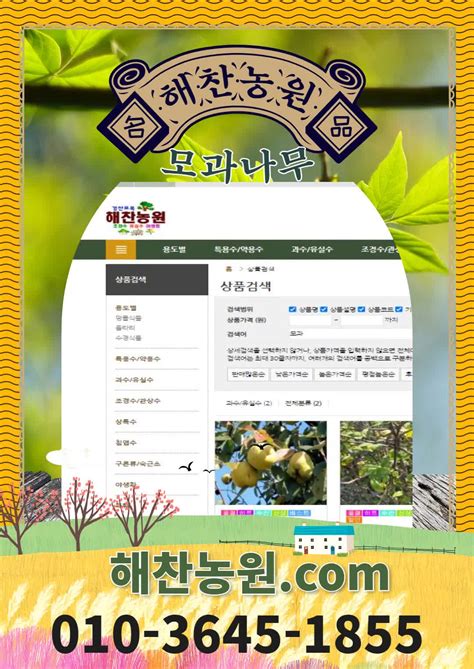 감기예방에 좋은 유실수는 모과나무묘목 친절상담 경산묘목특구 대표 해찬농원 조경수 유실수 정원수 야생화 장미등 각종