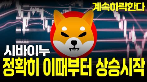 시바이누코인 전망 시바이누 계속 하락한다 정확히 이때부터 상승시작 시바이누코인 비트코인 밈코인 뉴스 시바이누 코인