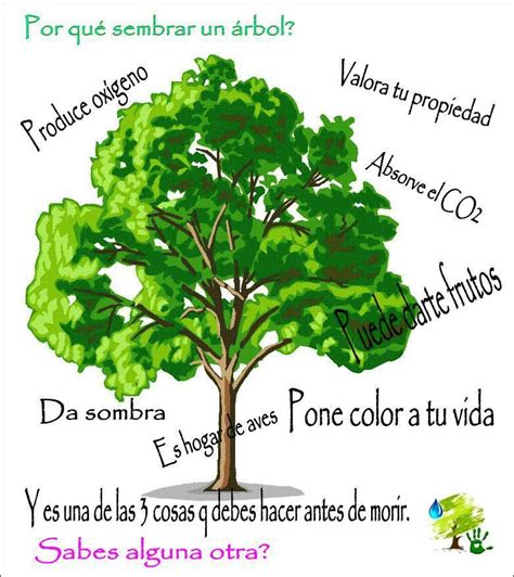 Details Como Cuidar Los Rboles Y Plantas Abzlocal Mx