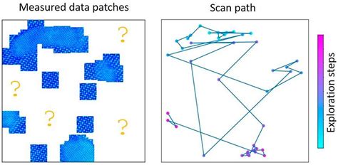 Automated And Autonomous Experiments In Electron And Scanning Probe