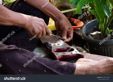 4 255 Sharpening File Images Stock Photos Vectors Shutterstock