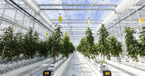 중동 스마트농업 유망시장 된 이유는 농산물 안정적 생산 투자 아끼지 않아