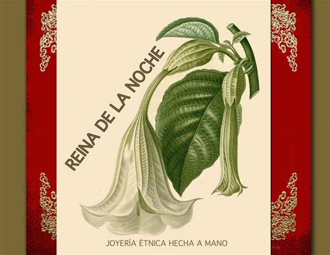 REINA DE LA NOCHE andga Página Flip PDF en línea PubHTML