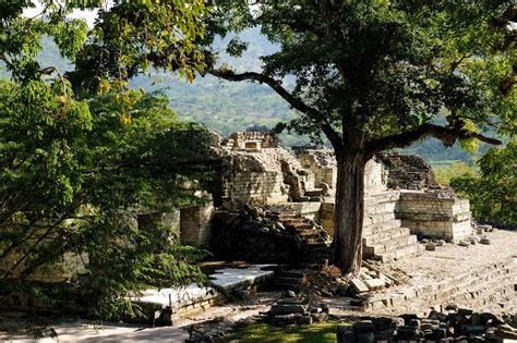 Historic Mysteries On Linkedin Why Did The Maya Civilization Collapse