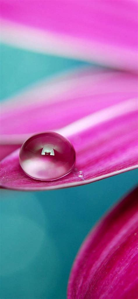 Xiaomi Redmi Note 8 Wallpapers HD