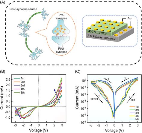 Synaptic And Resistive Switching Behaviors Of Sm‐doped Hfo2 Films For Bio‐inspired Neuromorphic