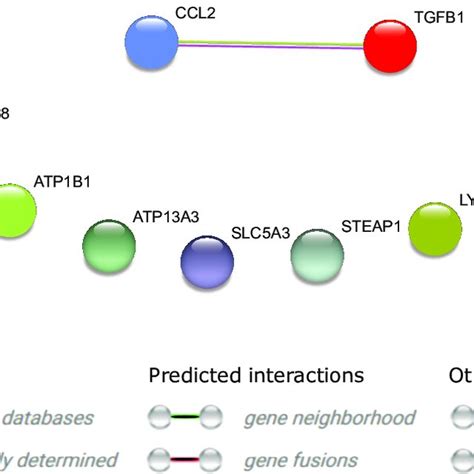 String Generated Interaction Network Among Differentially Expressed