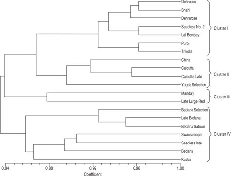 Dendrogram Depicting Genetic Relationship Among Indian Litchi Cultivars