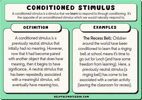 10 Conditioned Stimulus Examples With Pictures