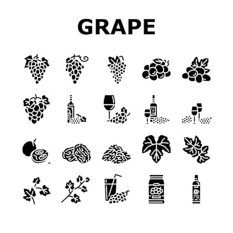 Conjunto De Iconos De Uva Vino Manojo Fruta Verde Vector Vector Premium