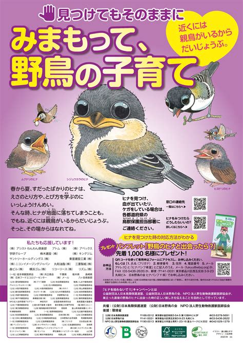 落ちている鳥を見つけたら 日本野鳥の会大阪支部ホームページ