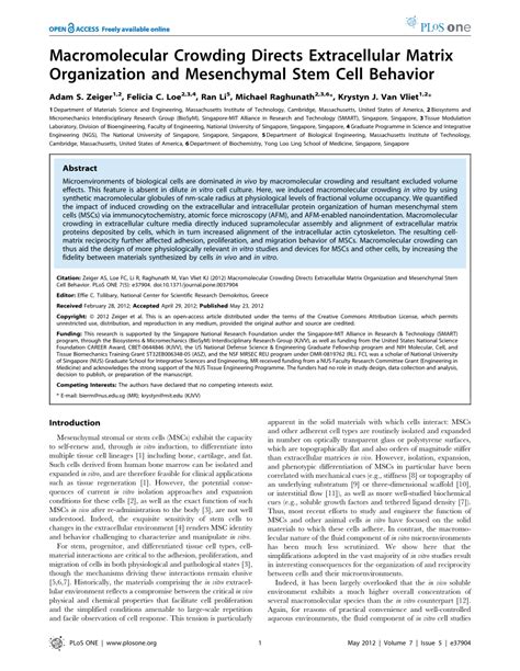 Pdf Macromolecular Crowding Directs Extracellular Matrix Organization And Mesenchymal Stem