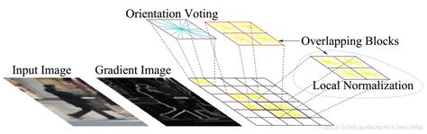 Opencv实现行人检测（c）opencv C 人 Csdn博客