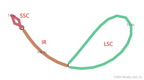 叶绿体基因组组装指南 CSDN博客