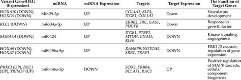 Effect Of Variants On Mirna Binding And Their Targets Download