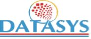 IT Services Elevate Your Business With Datasys Solutions