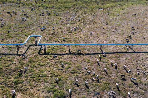 숲툰드라와 모래 강둑의 풍경 쿼드로콥터에서 찍은 사진 새의 눈감 북극권 야말 툰드라의 순록 네네츠의 목초지 툰다 0명에 대한 스톡 사진 및 기타 이미지 Istock