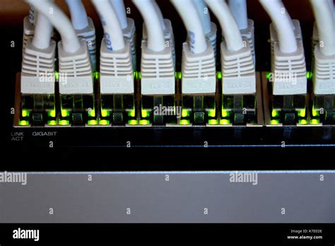 Gigabit Ethernet Connection Stock Photo Alamy