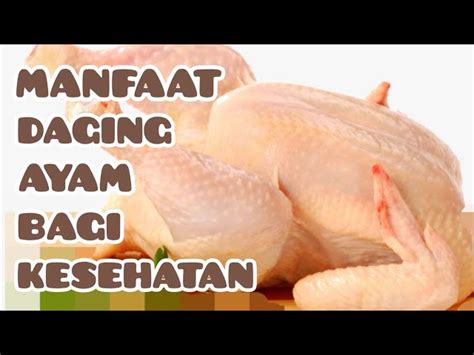 Temukan 5 Manfaat Tersembunyi dari Daging Ayam yang Jarang Diketahui - Biotifor