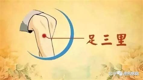 艾灸好处多科学合理艾灸助您防病抗病延年益寿 知乎