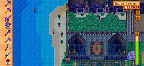 Robin R Stardewvalley