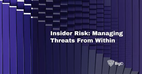 🛡️ Insider Risks Are Rising Let Bigid Be Your Shield Discover Classify And Control Your Data