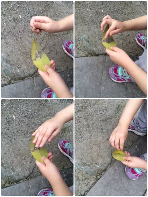 只要家长别干涉，孩子能每天去花园玩到不重样