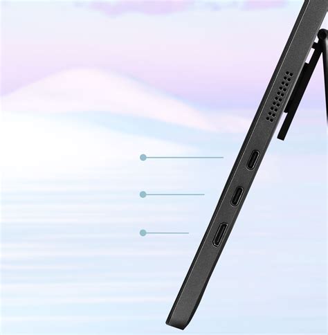 PRO MP Portable Ultra Slim Business Monitor Inch MSI