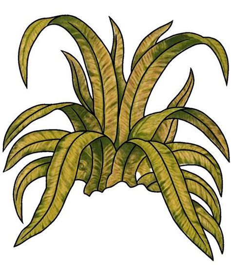 Pin On Leafs Flower Prints Art Botanical Flower Art Beautiful