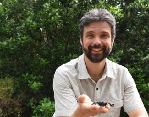 Sex Life Of Funnel Webs Caught On Camera Australian Geographic