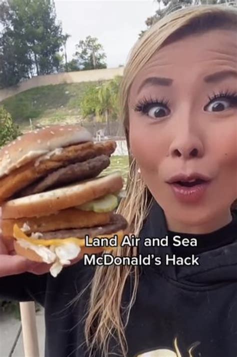 News And Report Daily 裸藍 I Made My Own Mcdonalds Air Land And Sea